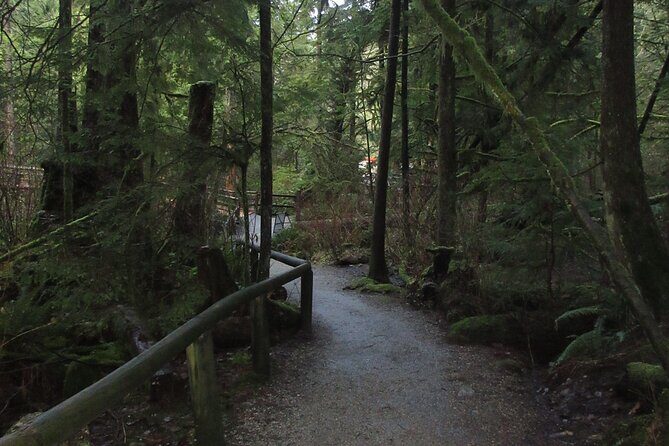 Love the Land Indigenous Walking Tour Capilano River Hatchery - A Deep Dive Into the Experience