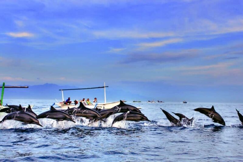 lovina bali: Dolphin watching, waterfall and local lunch - A Balanced Look at the Bali North Tour