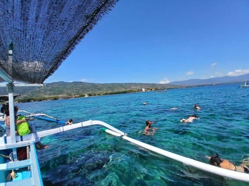 Lovina/BALI : SPECIAL Dolphin Watching,Swimming,Snorkeling - A Closer Look at the Experience