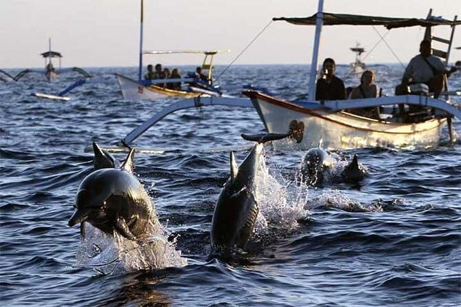 Lovina Dolphin and Ulundanu Temple - Key Points