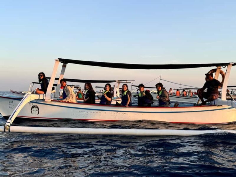 Lovina: Dolphin Watching Day Tour with Snorkeling - The Experience in Perspective