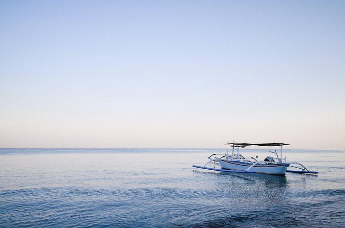 Lovina Dolphin Watching, Snorkeling and Waterfall Tour in Bali - Practical Details and What to Keep in Mind