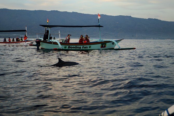 Lovina Dolphin Watching, Snorkeling and Waterfall Tour in Bali - FAQ