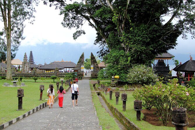 Lovina Dolphin Watching, Swimming, and Snorkeling Experience - The Dive Into the Details: An Honest Look at the Tour