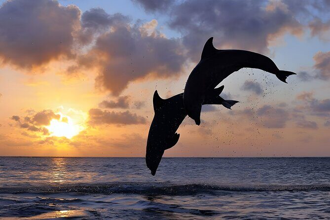 Lovina Sunrise Dolphin Watching and North Bali Tour - FAQ