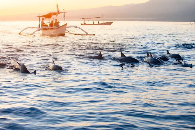 Lovina Sunrise Dolphin & Waterfall Tour - Authentic Experiences and Unique Highlights