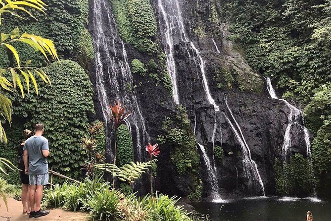 Lovina Sunrise Dolphin & Waterfall Tour - Final Thoughts: Is This Tour Right for You?