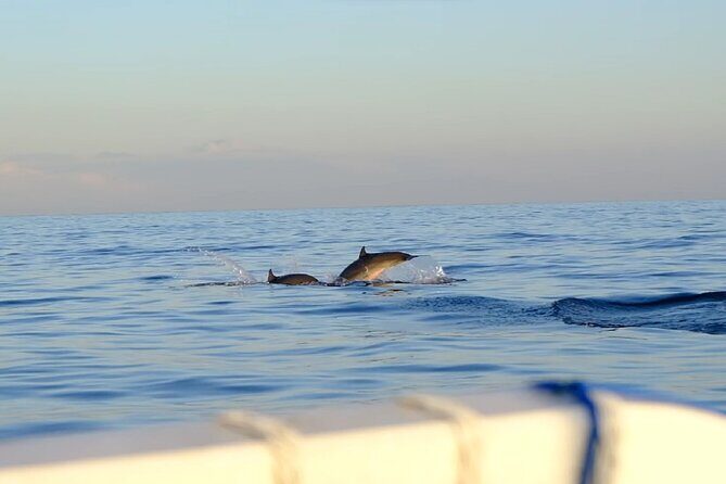 Lovina Sunrise Dolphin with option snorkeling and waterfall - An In-Depth Look at the Experience