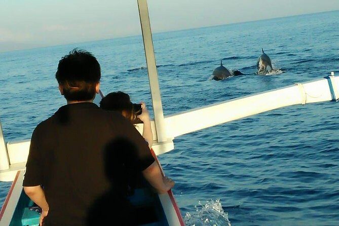 Lovina sunrise with Dolphin watching and Twin Banyumala Waterfall Day Trip - An In-Depth Look at the Tour Experience