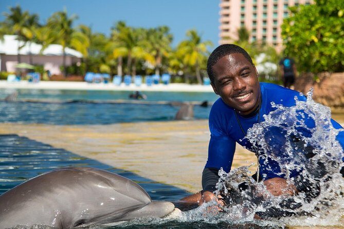 Low Cost Airport (Each-way) - The Sum Up: Is This the Right Transfer for You?