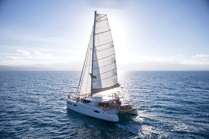 Low Island Snorkelling Private Charter Aboard Authentic Chinese Junk Boat - Environment and Wildlife