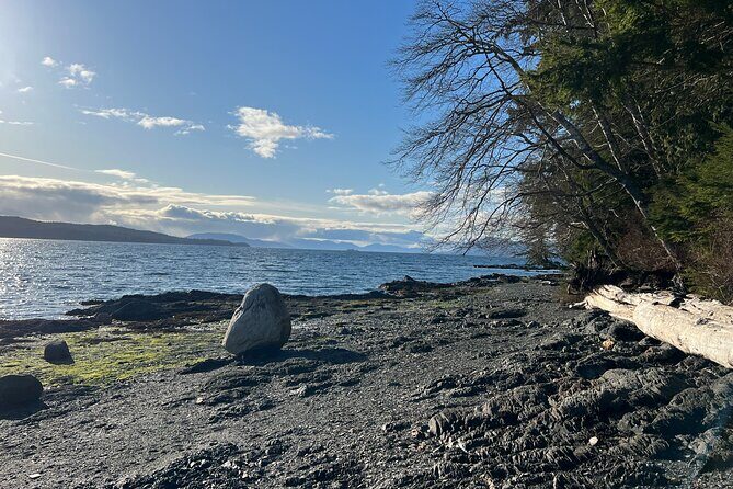 Low Tide Excursion & Totem Bight Park - The Sum Up