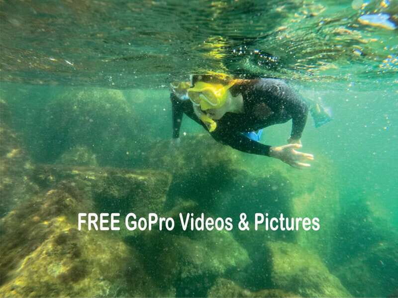 Lower Grand Lagoon: Panama City Beach Guided Snorkeling Tour - Who Should Book This Tour?