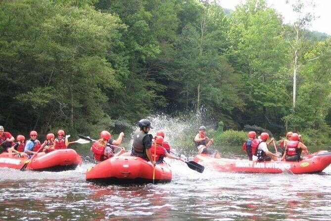Lower Pigeon River Rafting Tour - Who Should Consider This Tour?