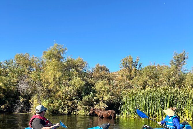 Lower Salt River Guided Kayak Tours - Who Will Find This Tour Most Enjoyable?