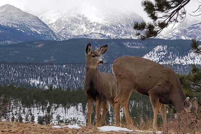 Lower Valley Tour RMNP - Introduction to the Experience