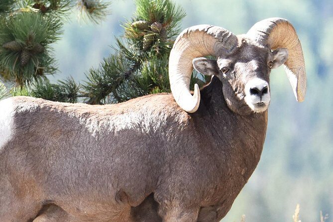 Lower Valley Tour RMNP - What Makes This Tour Stand Out