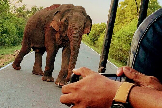 Lowest Taxi Price from CMB Airport to Colombo and Negombo - FAQ