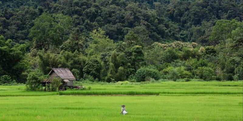 Luang Prabang: 1 Day ff-road The Small Chili Countryside - Who Will Enjoy This Tour?
