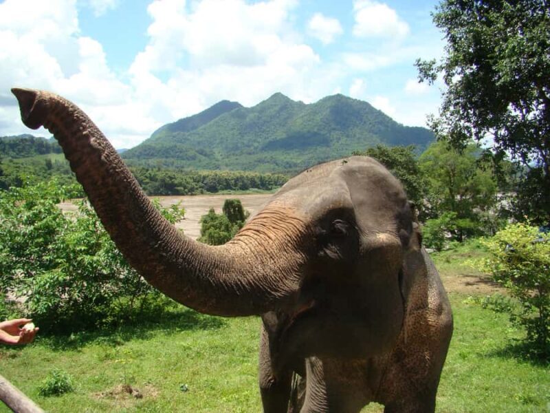 Luang Prabang: 2-Day Explorer Tour - Authentic Experiences that Make a Difference