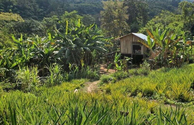 Luang Prabang: 3 Days Ethnic and Forest Living - Mountain - Final Thoughts