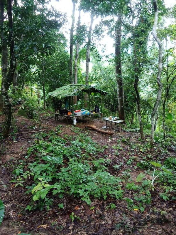 Luang Prabang: 3 Days Ethnic and Forest Living - Mountain - FAQ