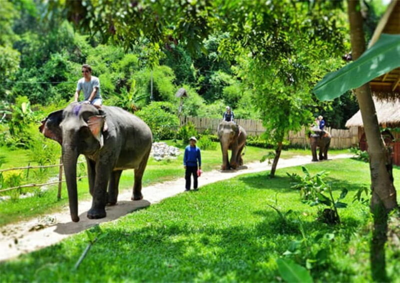 Luang Prabang: 4 Day 3 Nights Guide Tour - What’s Included and What’s Not