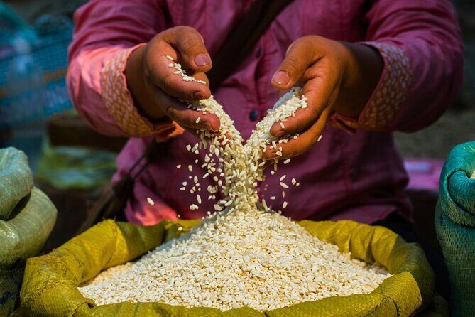 Luang Prabang Alms Giving Ceremony and Mekong Cruise with Lunch - Key Points
