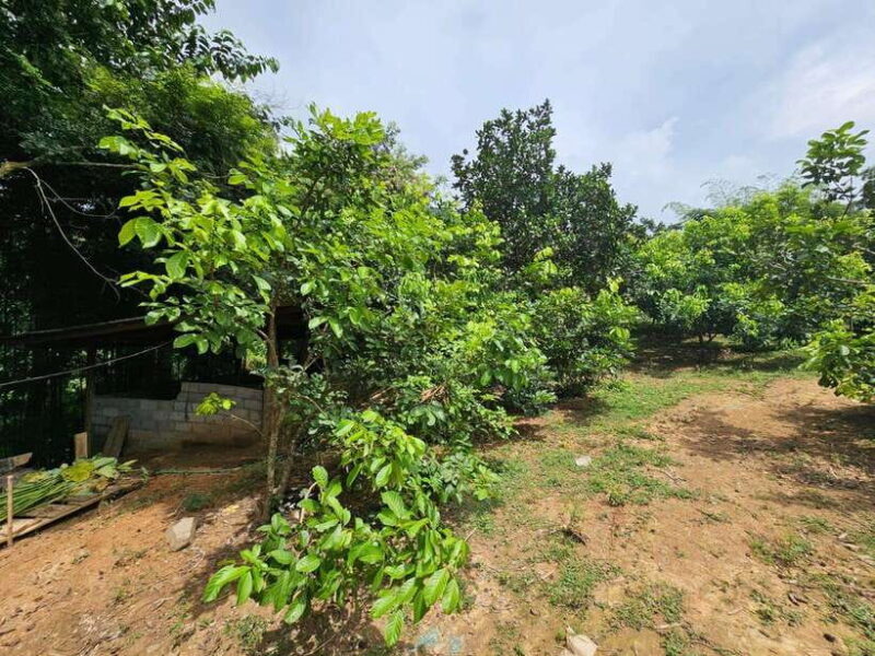 Luang Prabang: Authentic Lao Village & Farm Experience Day - Practical Tips