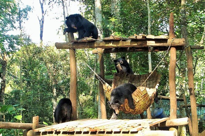 Luang Prabang City, Buffalo Dairy Farm and Kuangsi Falls - 1 Day Private Tour - Practicalities and Logistics