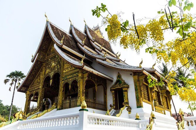Luang Prabang City Sightseeing Tour by Vintage EV - A Balanced Look at Luang Prabangs Vintage EV City Tour