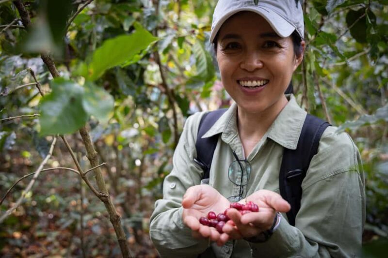 Luang Prabang: Coffee Farm Tour with Roasting & Workshop - Key Points