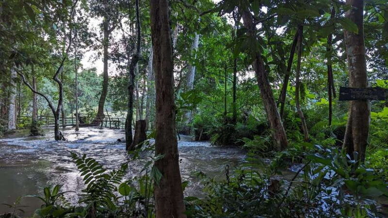Luang Prabang: Full Day Trek to Kuang Si Waterfall & Village - An In-Depth Look at the Tour