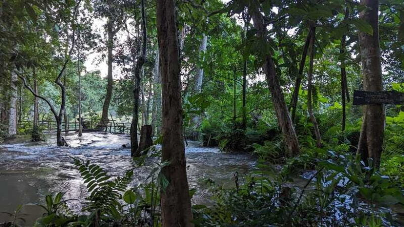 Luang Prabang: Full Day Trek to Kuang Si Waterfall & Village - FAQs
