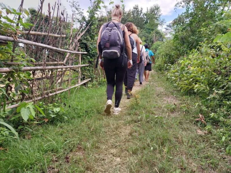 Luang Prabang: Hiking Off the Beaten Track with Picnic Lunch - Overview of the Tour