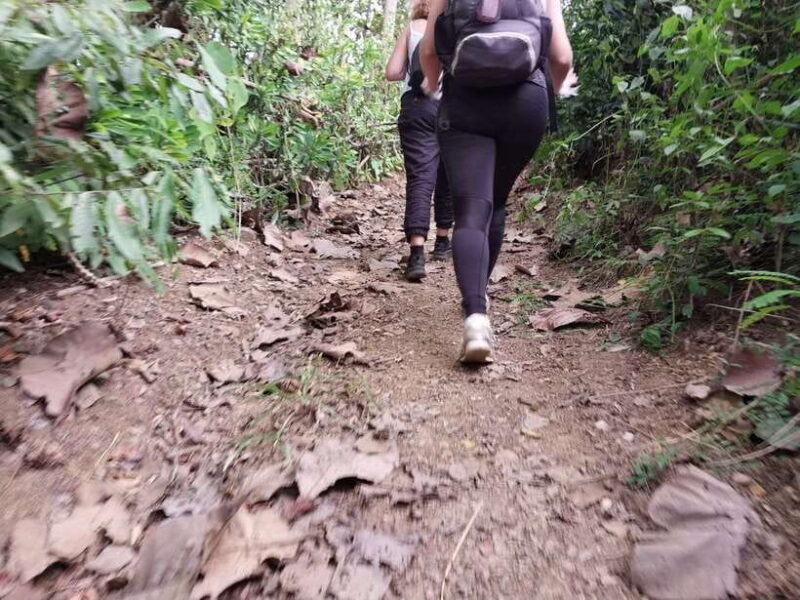 Luang Prabang: Hiking Off the Beaten Track with Picnic Lunch - What We Appreciate About This Tour