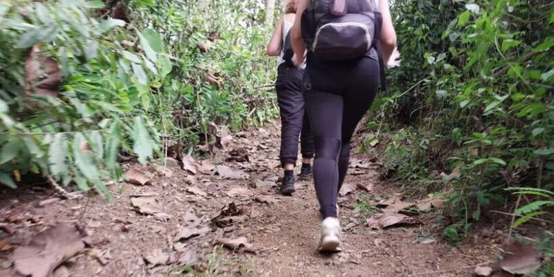 Luang Prabang: Hiking Off the Beaten Track with Picnic Lunch - Who Is This Tour Best For?