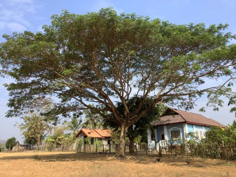 Luang Prabang: Hmong Village + Rafting Day Trip - Key Points