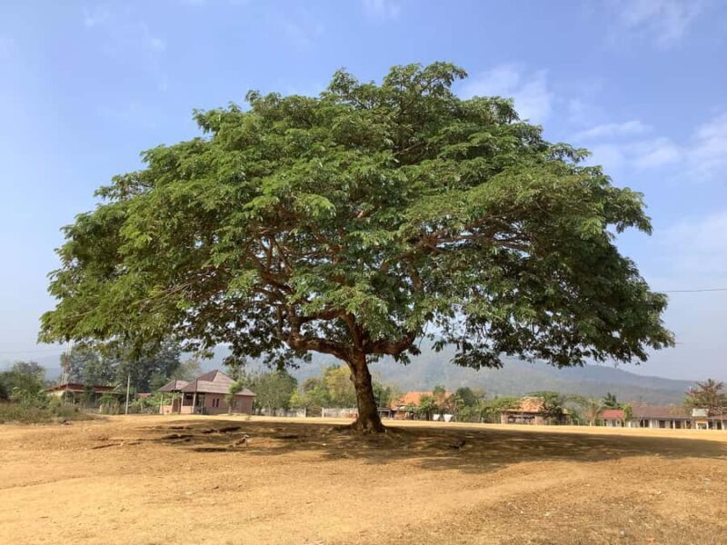 Luang Prabang: Hmong Village + Rafting Day Trip - A Full Breakdown of the Experience