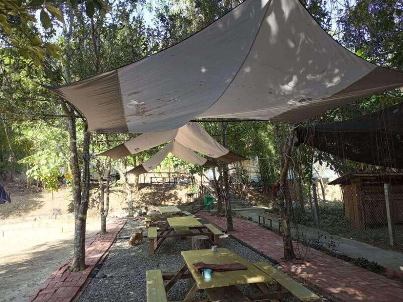 Luang Prabang: Kuang Si Falls, River Tracing Hiking - Key Points