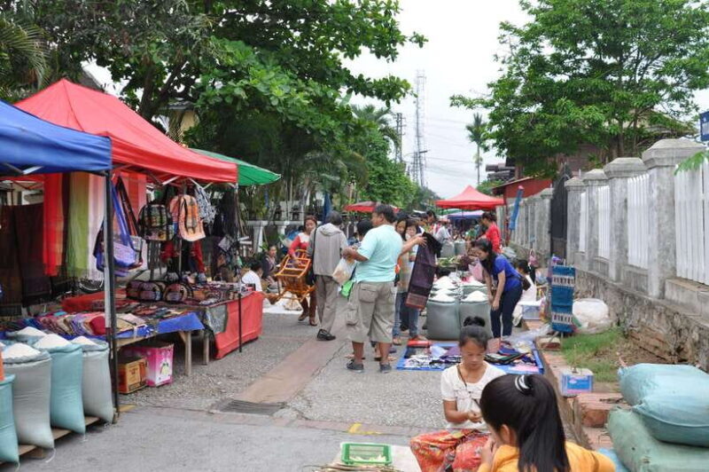 Luang Prabang: Local Village & Kuang Si Falls Private Tour - Who Should Book This Tour?