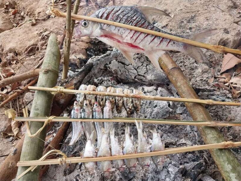 Luang Prabang: Mekong Fishing with a Local Fisherman & Lunch - A Detailed Look at the Experience