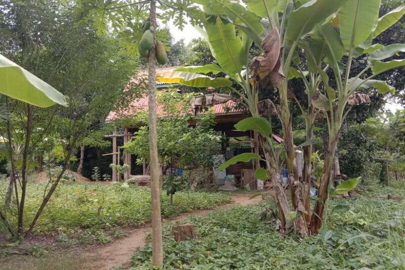 Luang Prabang: Organic Farm Experience & Hike to Kuang si - Introduction to the Tour