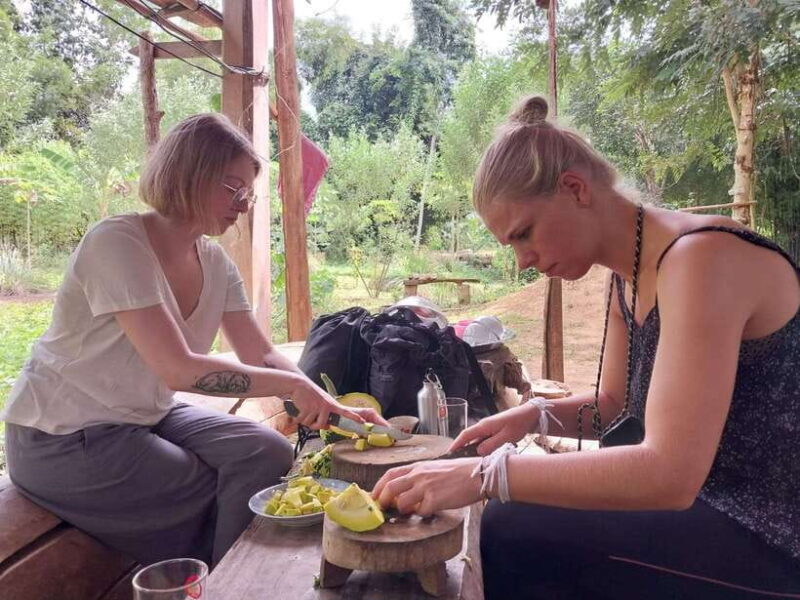 Luang Prabang: Organic Farm Experience & Hike to Kuang si - What This Tour Means for You as a Traveler