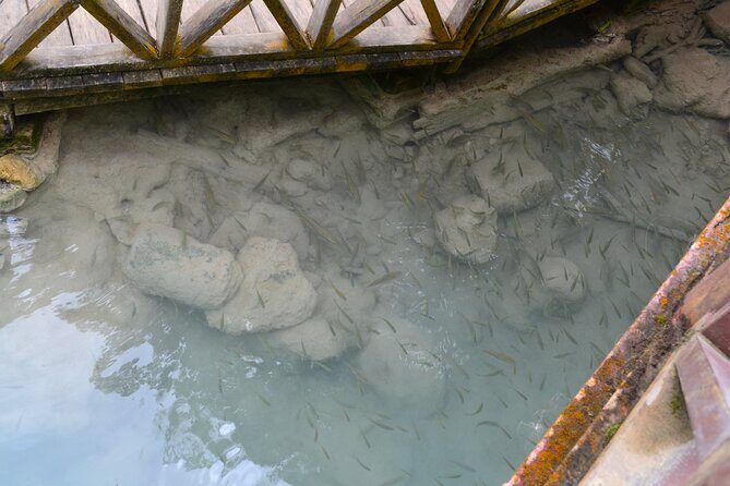 Luang Prabang Private Car Charter: Kuang Si Waterfall (5h) - Who Will Appreciate This Tour?