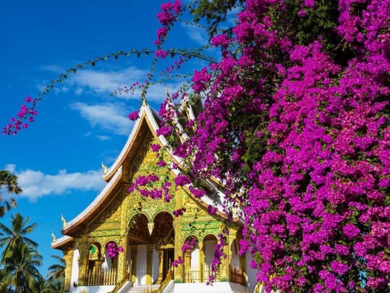 Luang Prabang: Private City Full Day Tour & Night Market - Introduction: Your Perfect Day in Luang Prabang