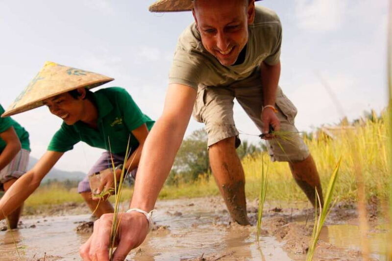 Luang Prabang: Rice Farm and Kuang Si Waterfall Tour - Practical Details & Tips