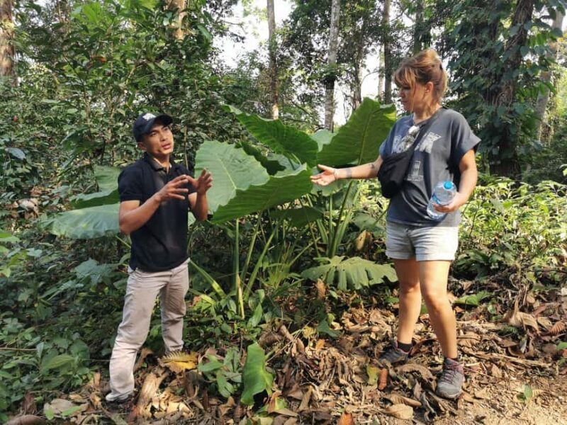 Luang prabang: Survival course in the primary forest. - Who Should Consider This Tour?