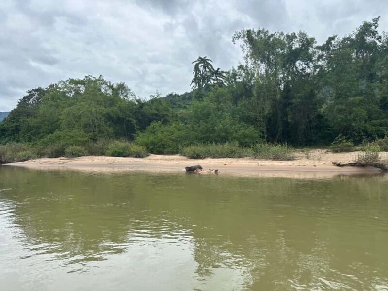 Luang Prabang to Nong Khiaw 3-Day Trekking & Camping,Homstay - Who Will Love This Tour?