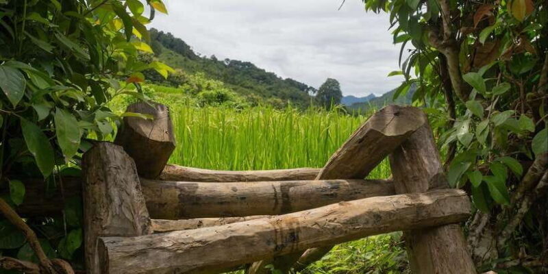 Luang Prabang: Village Trek & Nam Khan River Kayak Tour - The Sum Up